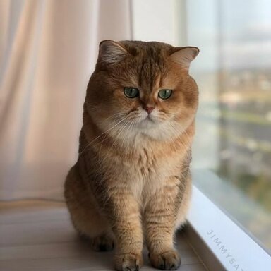 2026 USNTDP Class Discussion | HFBoards - NHL Message Board and Forum ...